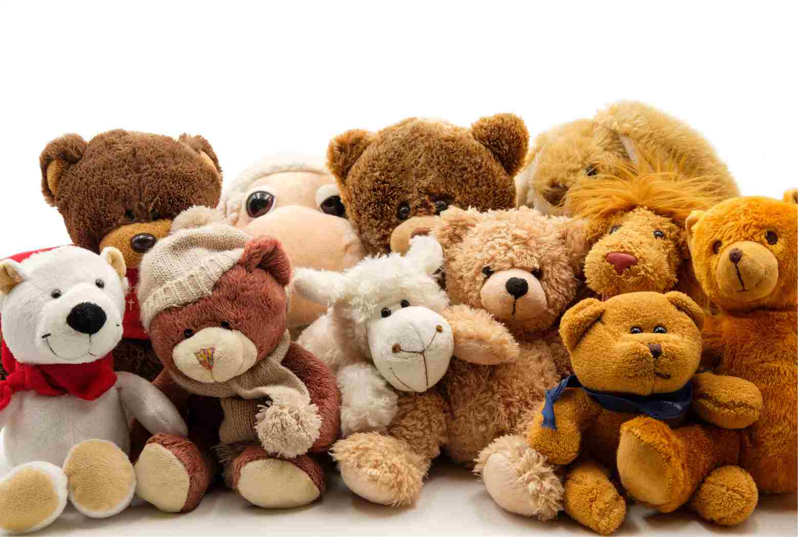 5 Creative Ways to Display Your Plush Toy Collection at Home – Eddie ...